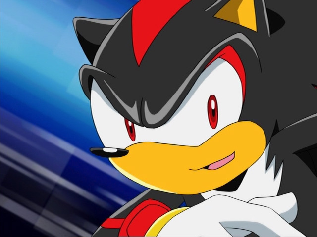 la historia de shadow the hedgehog: dia de clases en su nuevo hogar cap.19